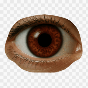 Weirdcore Eye PNG – Transparent Surreal Aesthetic Design