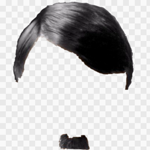 Hitler moustache png transparent